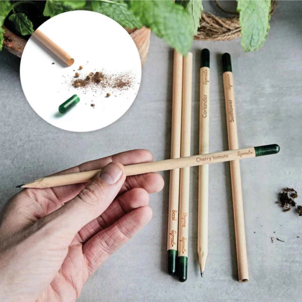 Plant Growing Pencil | ShopGifts | Corporate Gift Singapore